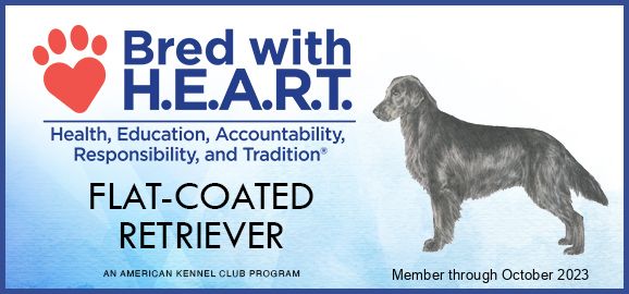 Flatline Flat Coated Retrievers