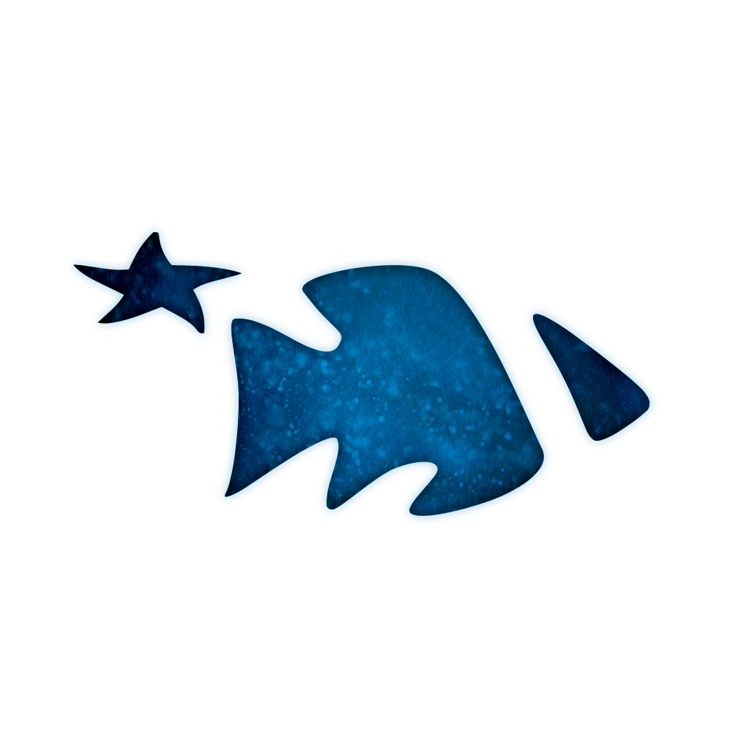 Matty & The Starfish - Shows