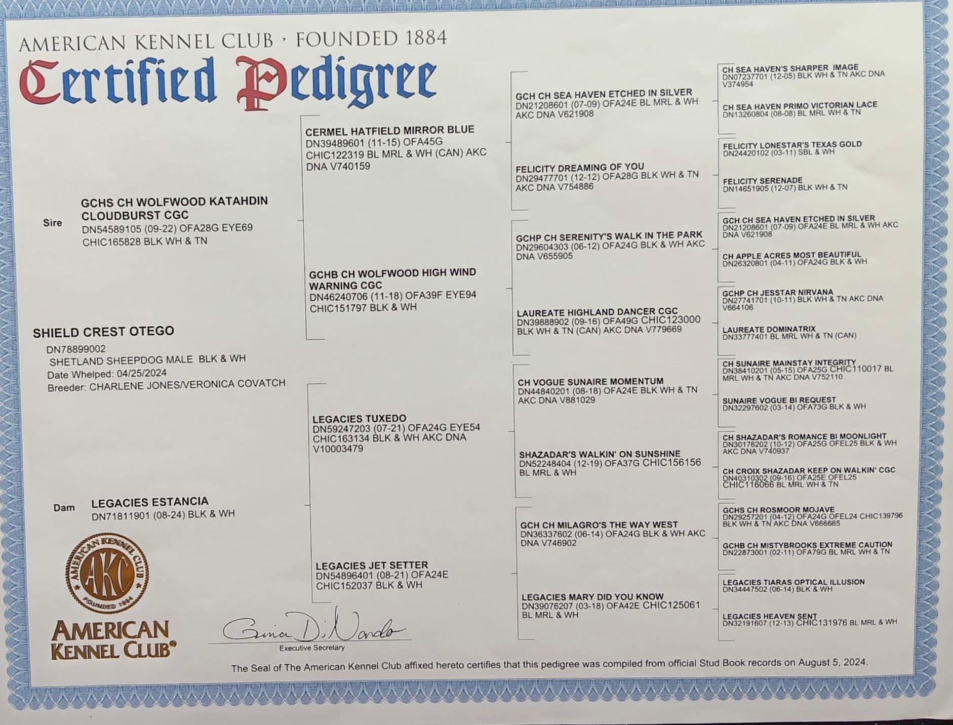 Shield Crest Sheltie - Travis