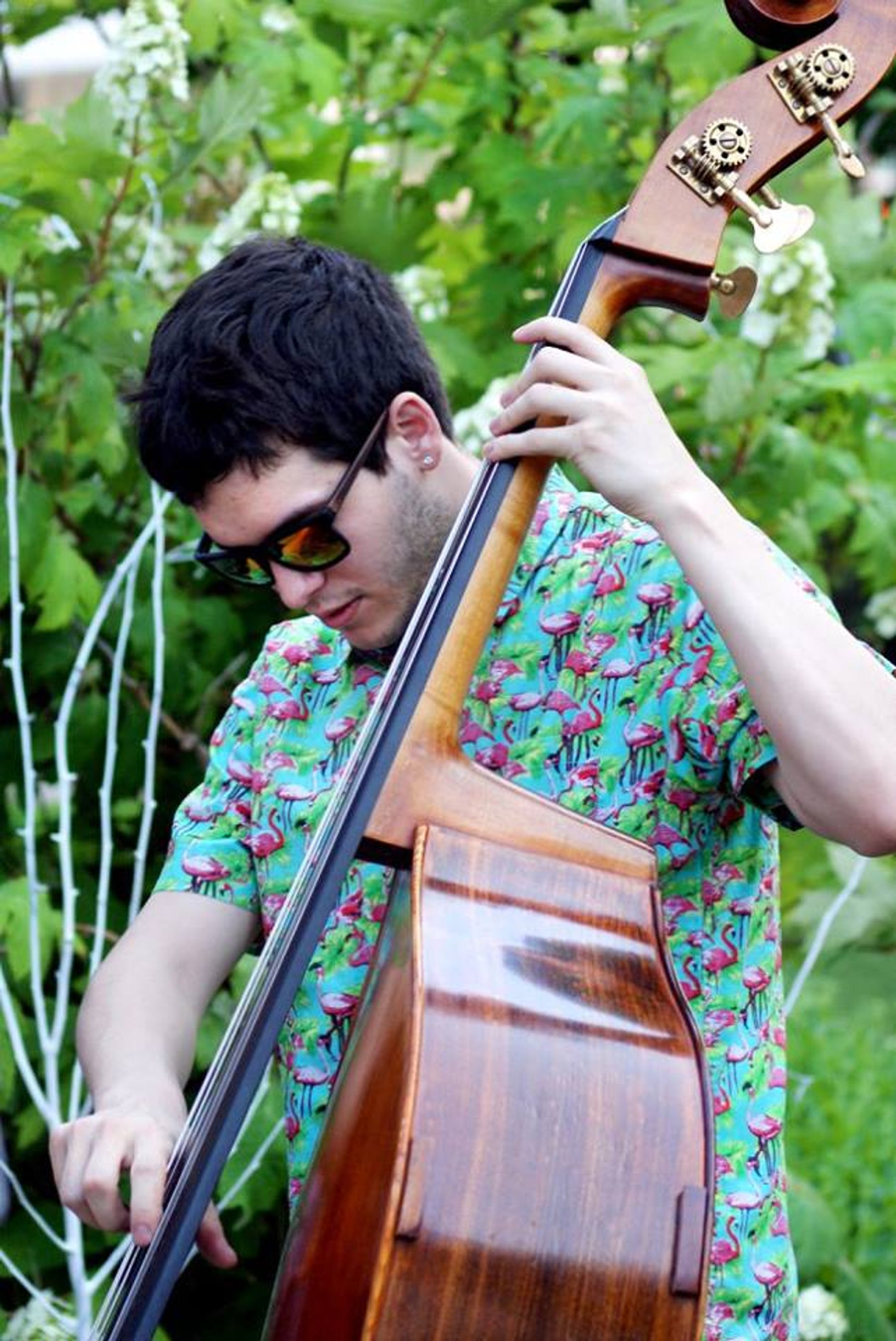 Chris Mondak - Shows