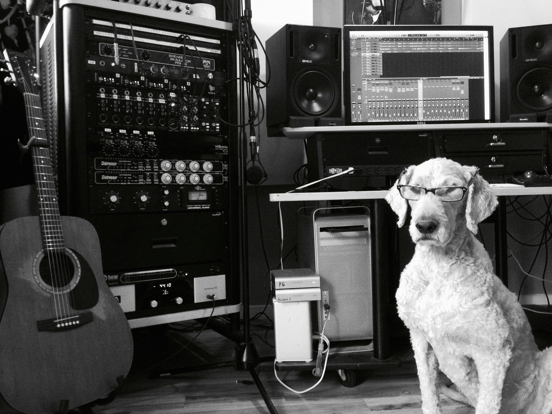 Greg Critchley - The Sound LLC