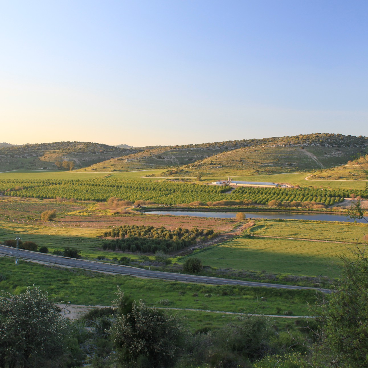 Valley of Elah Israel Stones - SMOOTH EDGES - Bill and Sylvia Ferrin