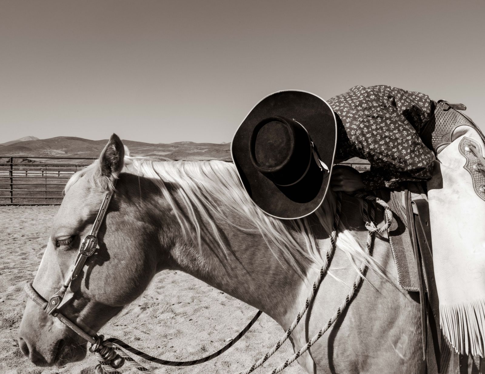 Brigid Reedy - Press Kit