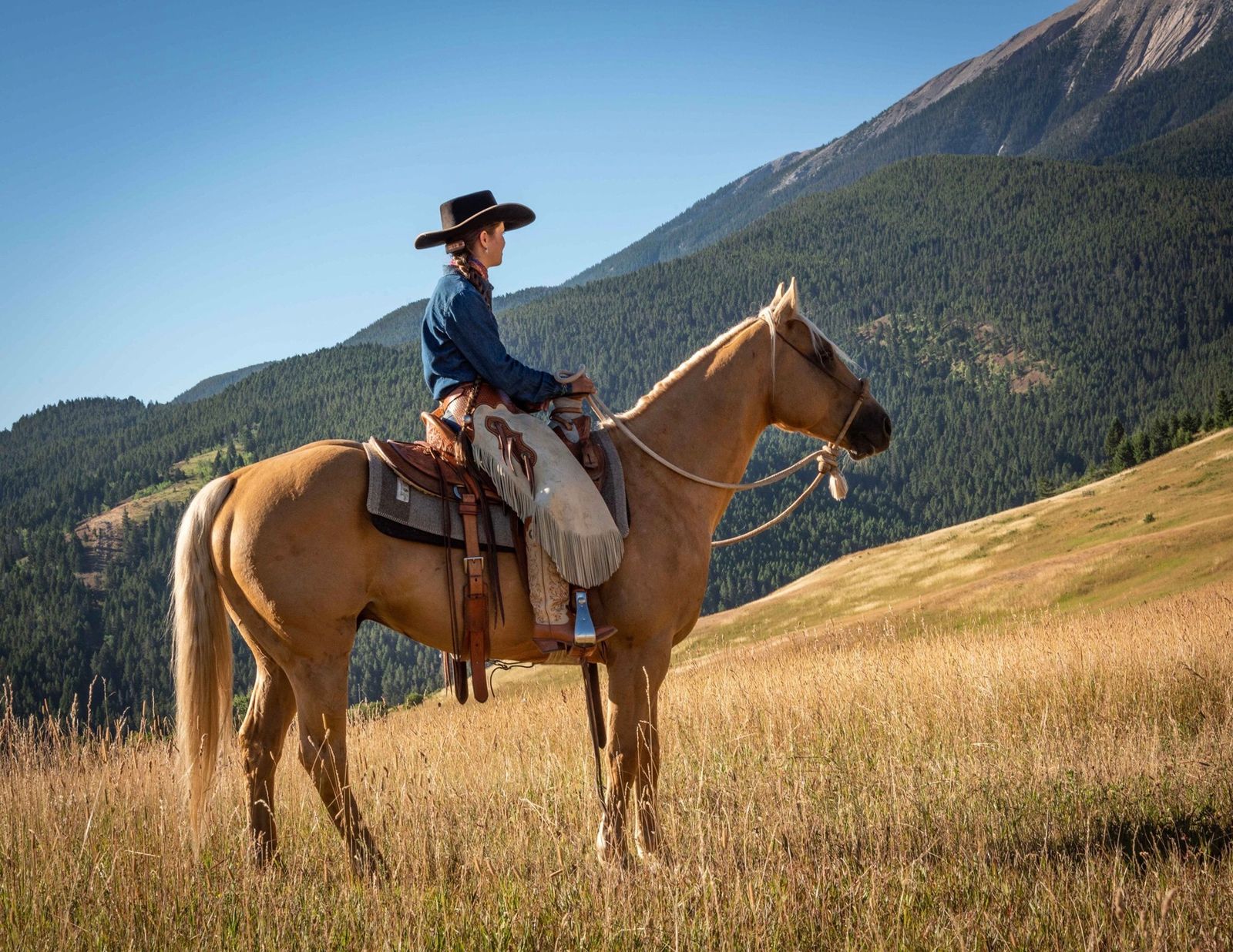 Brigid Reedy - Press Kit