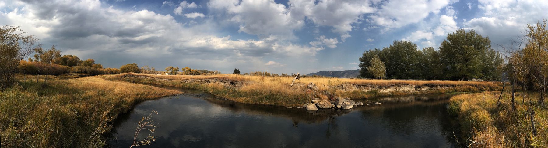 Brigid Reedy - Press Kit