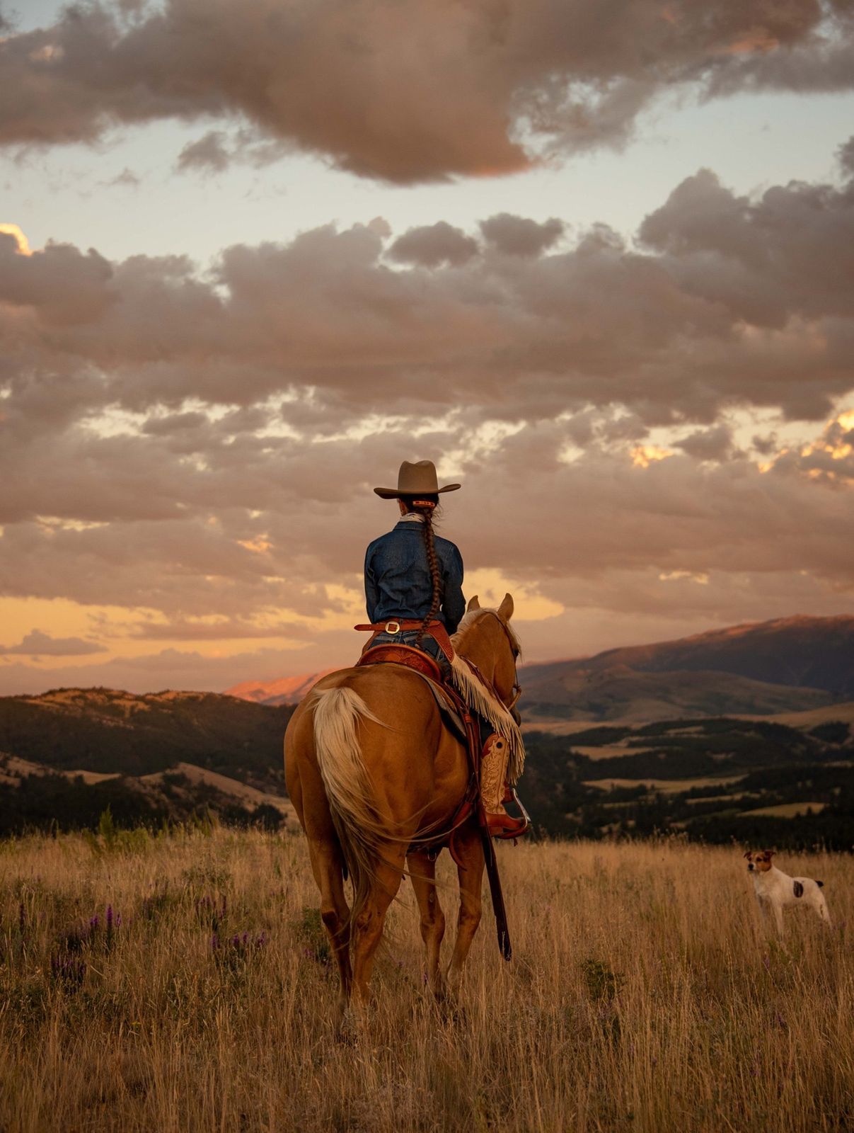 Brigid Reedy - Press Kit