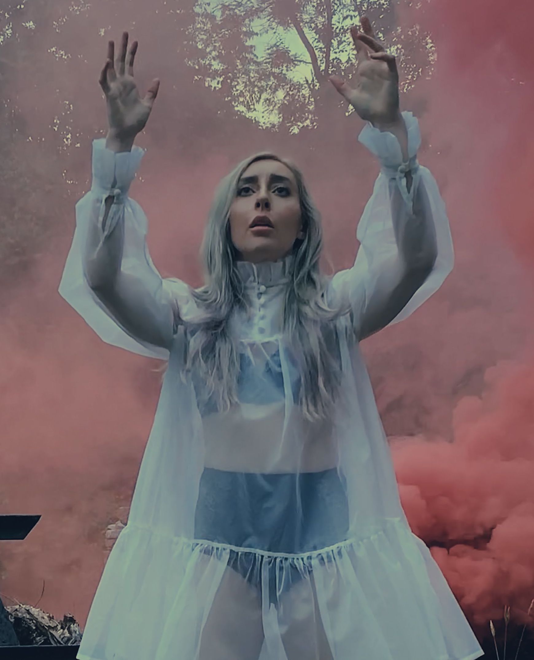 LINGUA IGNOTA - Shop