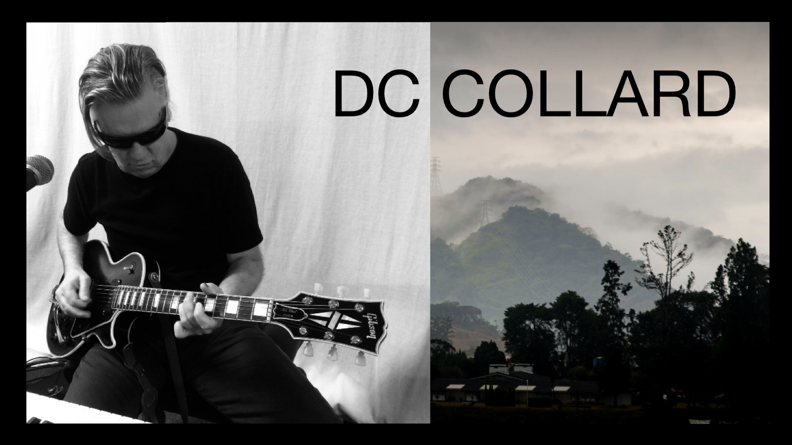 DC COLLARD