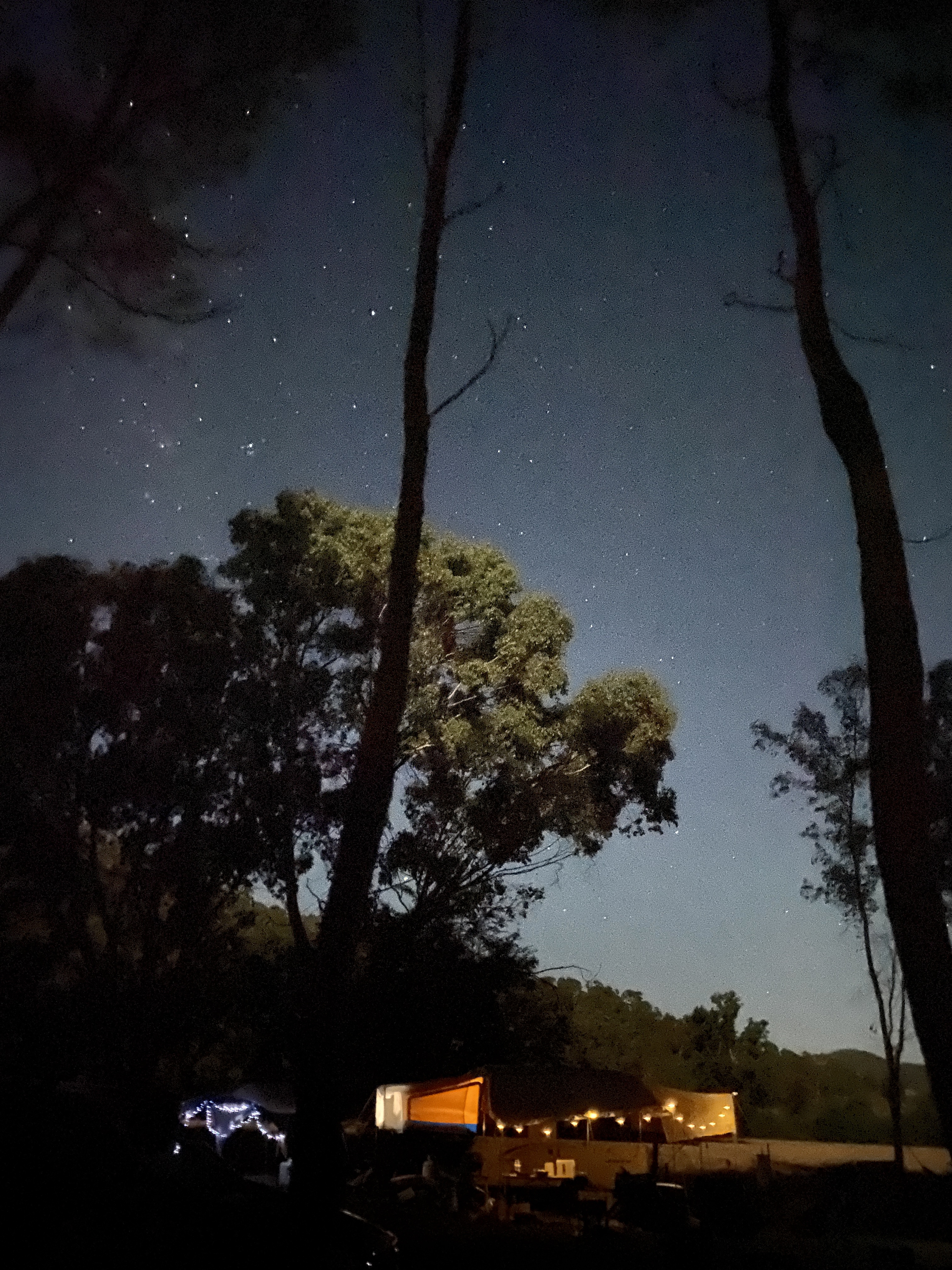 Hobo Travelogue, Jan 3, 2026: Happy new year from down here, songs ...