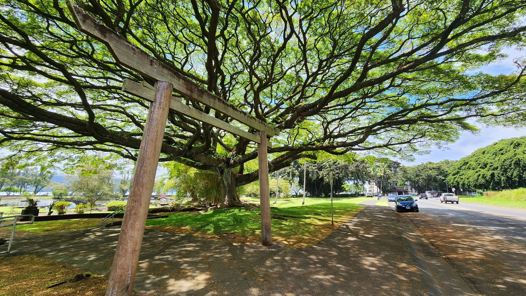 David Elias - DSD and MQA Singer-Songwriter