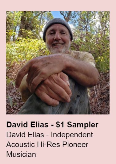 David Elias - Independent Acoustic - Online with original music since 1995.