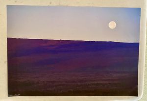 David Elias - Independent Acoustic - Online with original music since 1995.