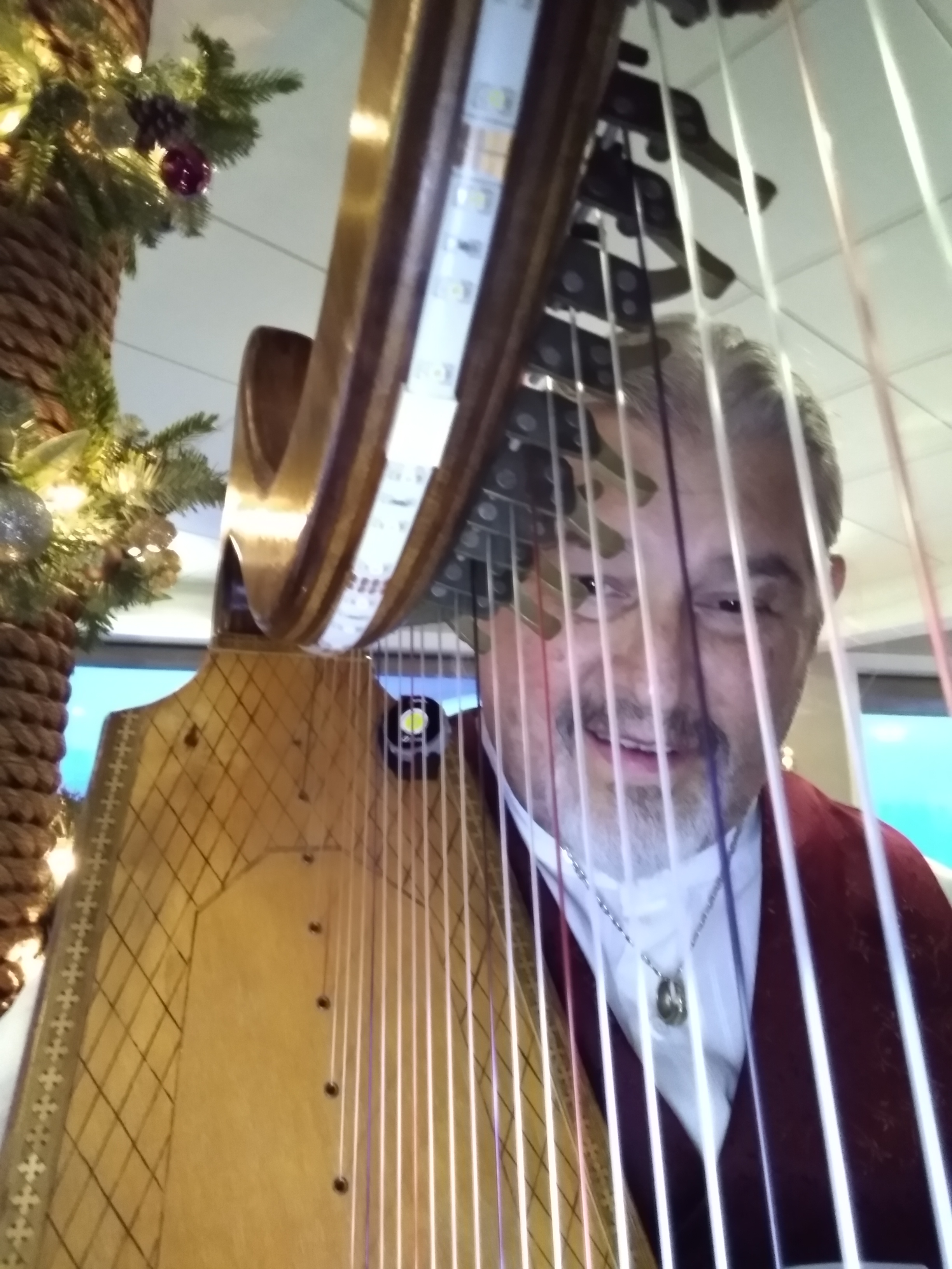 reubencorreaharp.com