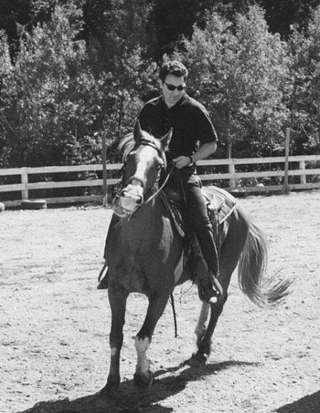 Lawrence Blatt - Photos