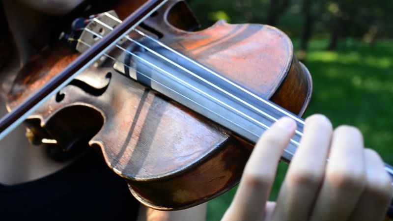 October Gold - Pictures