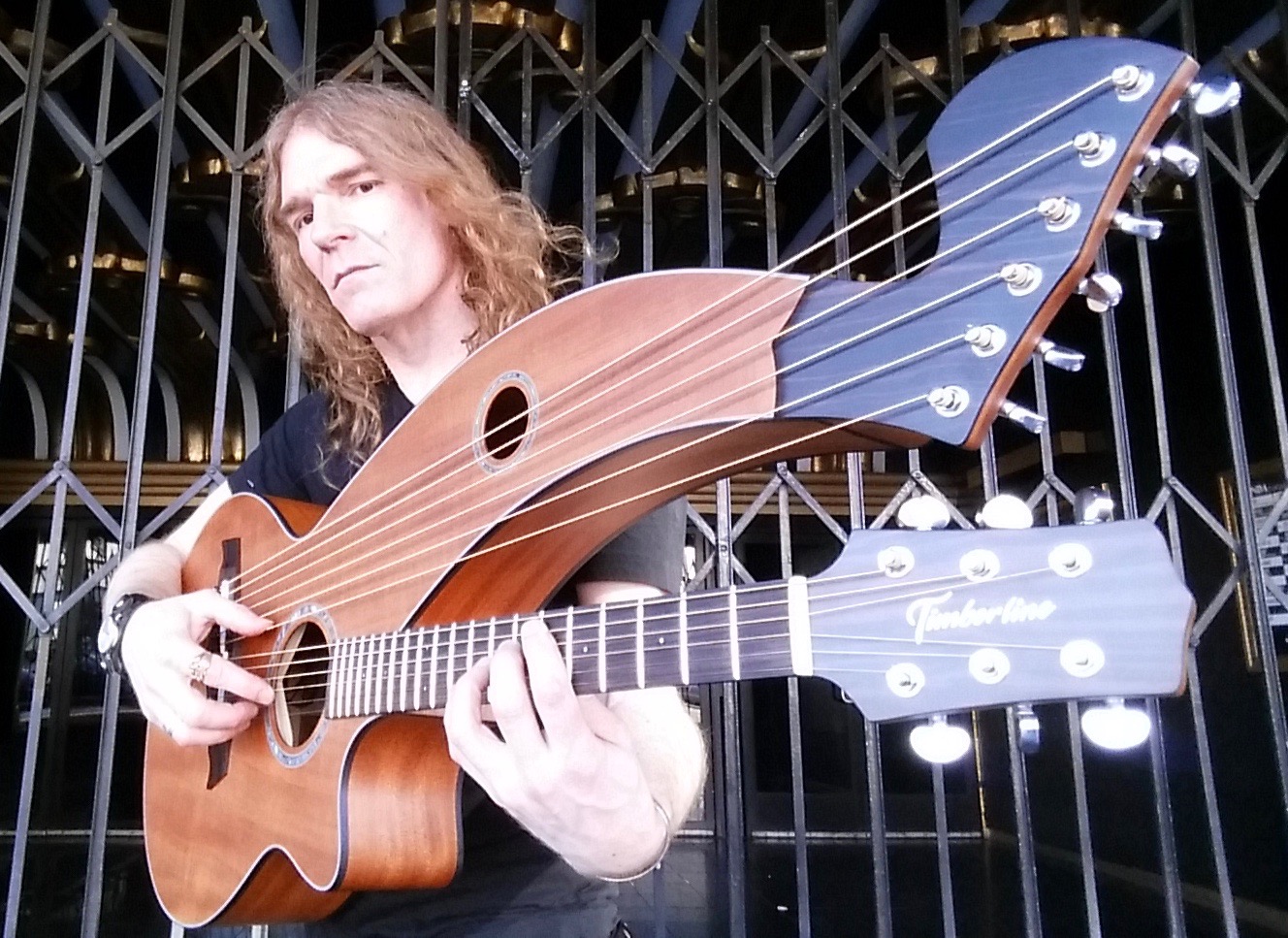 HARPGUITARIST/GUITARIST TIM BERTSCH NOW OFFICIALLY ENDORSED BY ...