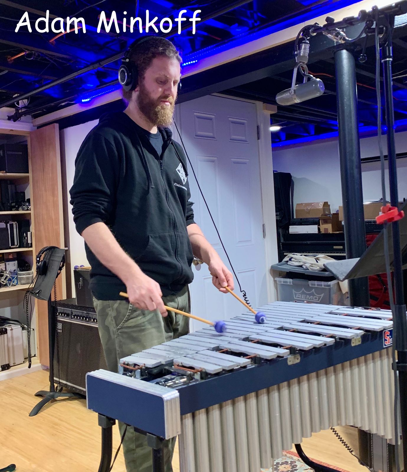 Marla Lewis - The Band