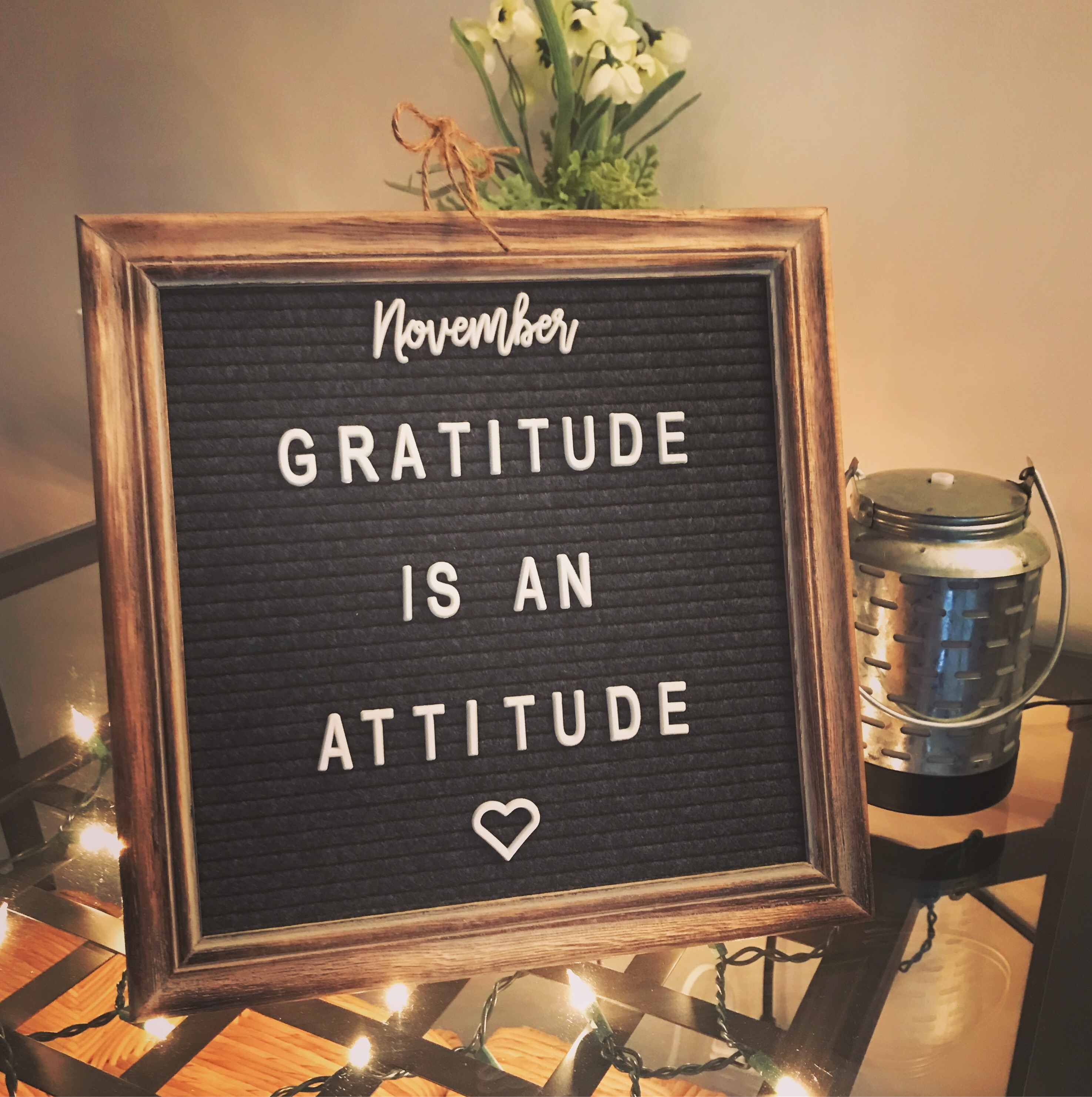 Thanksgiving: "Gratitude is an Attitude"