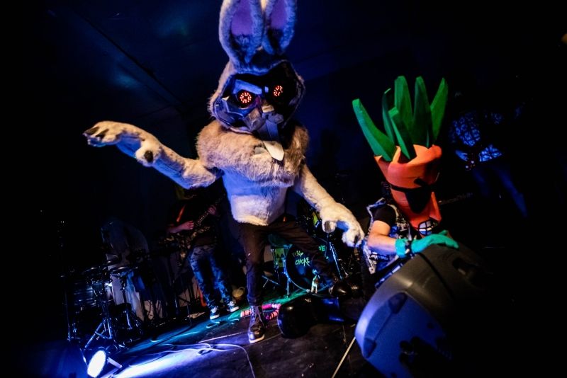 RADIOACTIVE CHICKEN HEADS - Photos