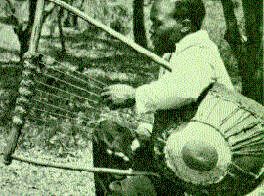 Michael Levy - Composer for Lyre - Lyres and Harps Still Played in ...