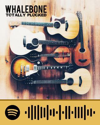 Totally Plucked now on Spotify!