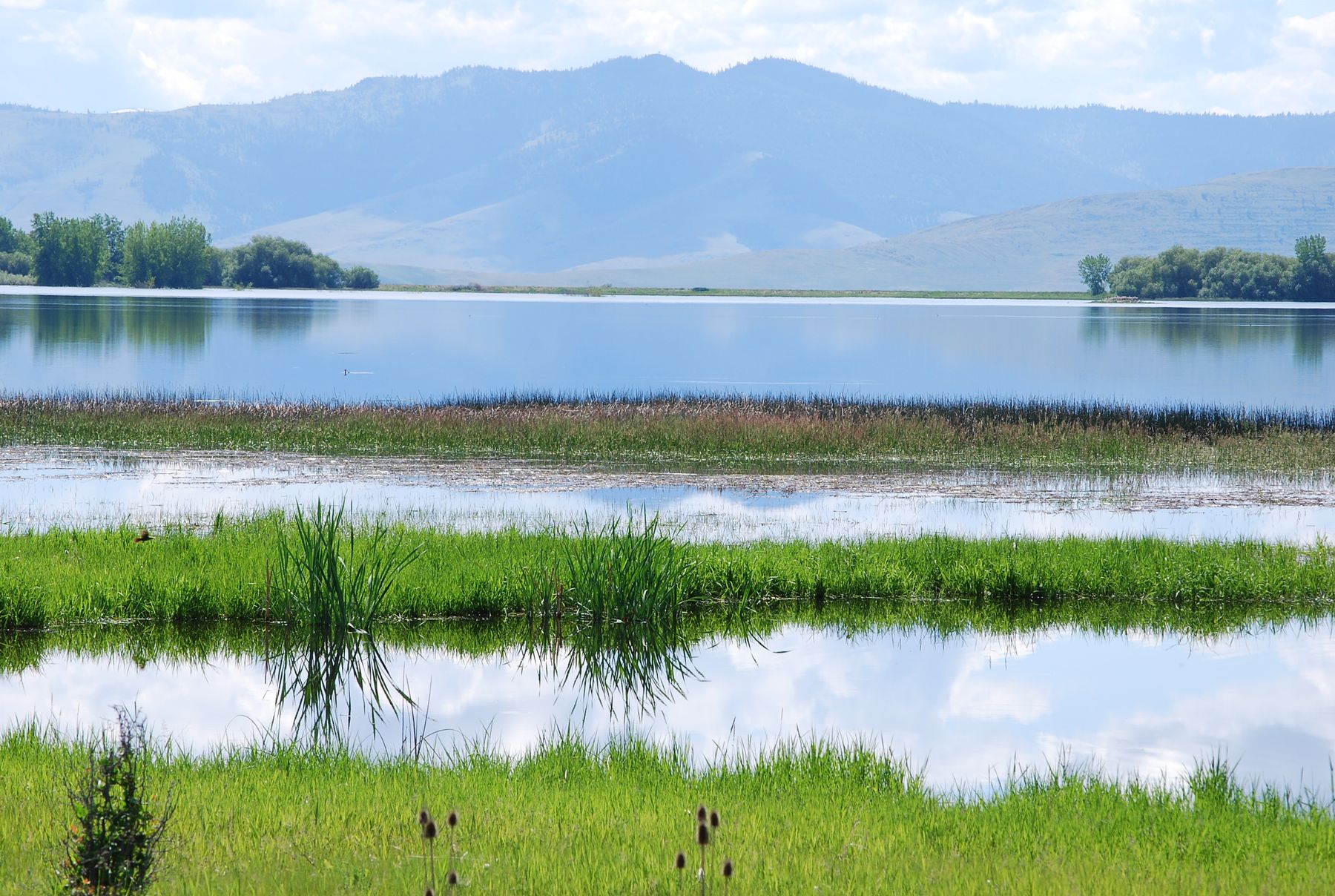 Marcia Hayden Hendrick - Calendar