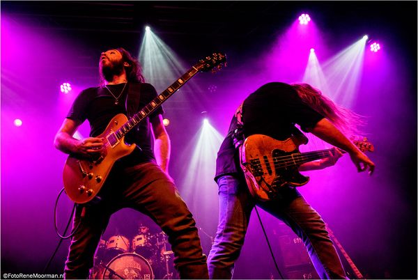 Home [www.ericsteckel.com]