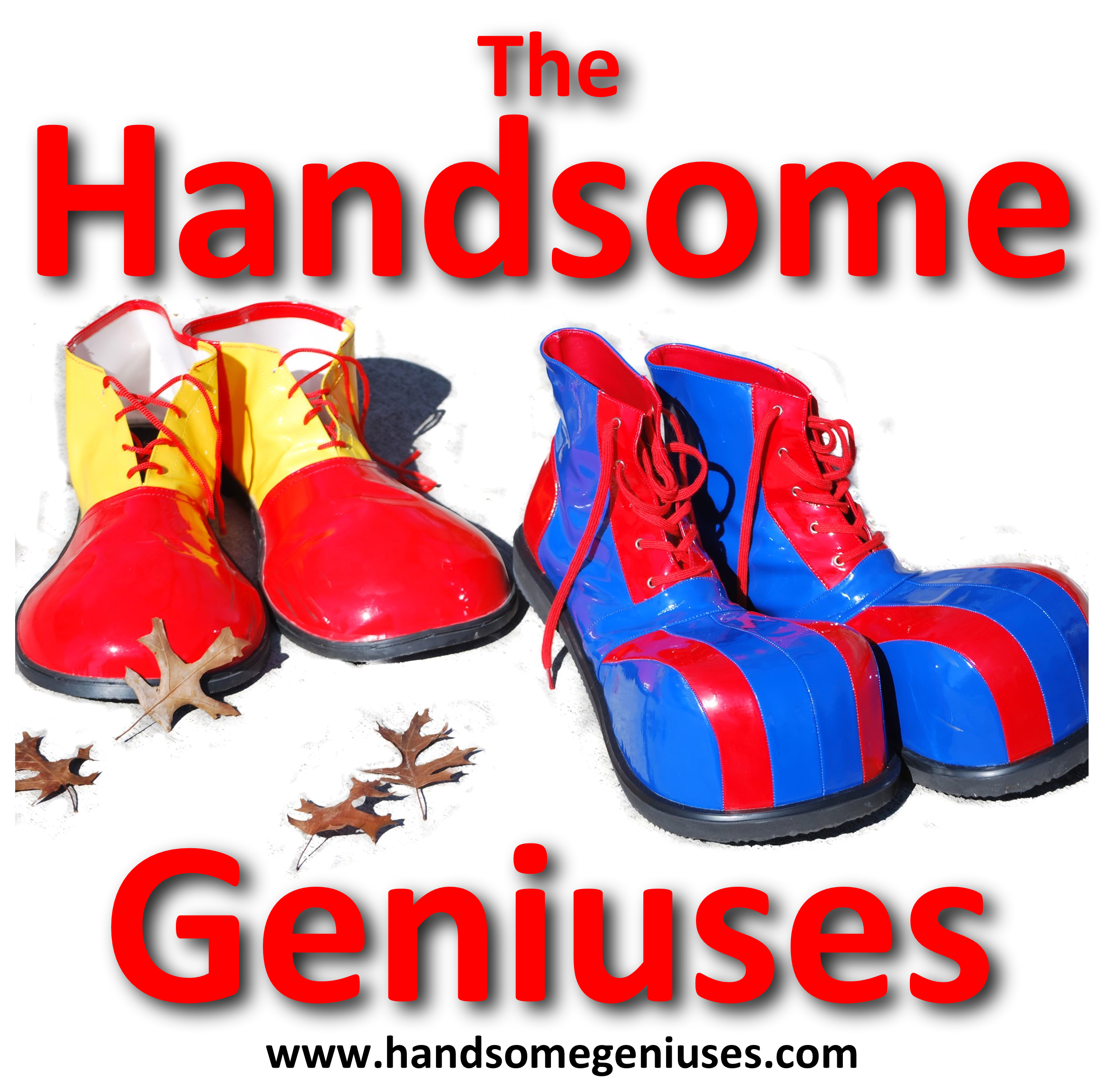 The Handsome Geniuses