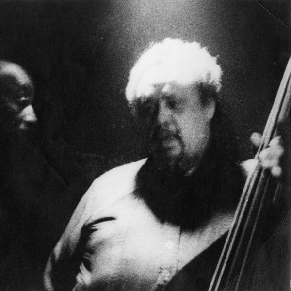 David Slusser - Stray Horns