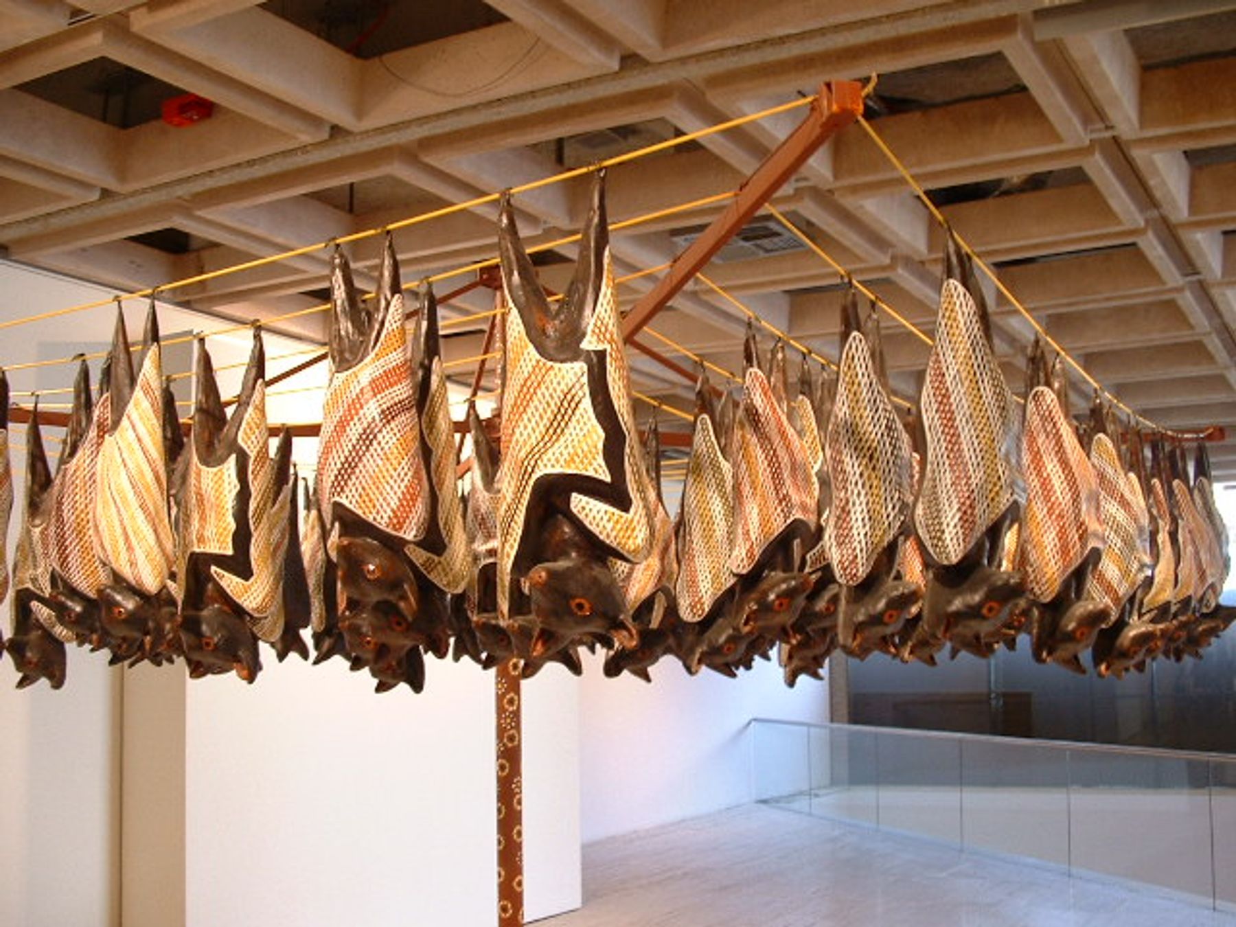 johnpalmes.com - Black Cat Piddled in the White Cat's Eye