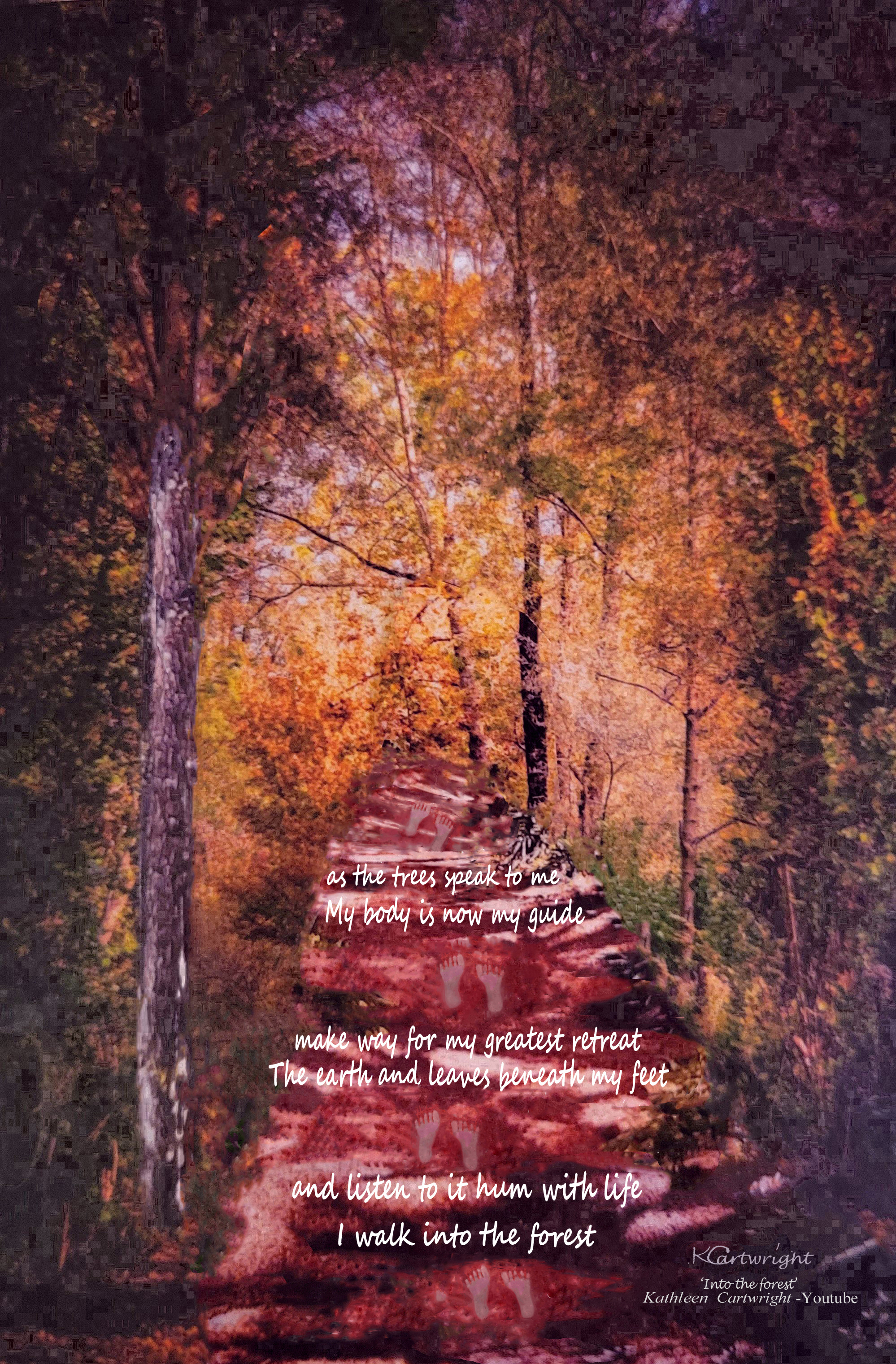 Come with me ‘Into the Forest’