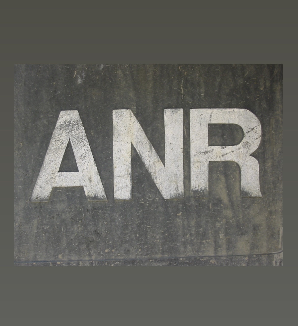 ARTIFICIAL NOISE RECORDS