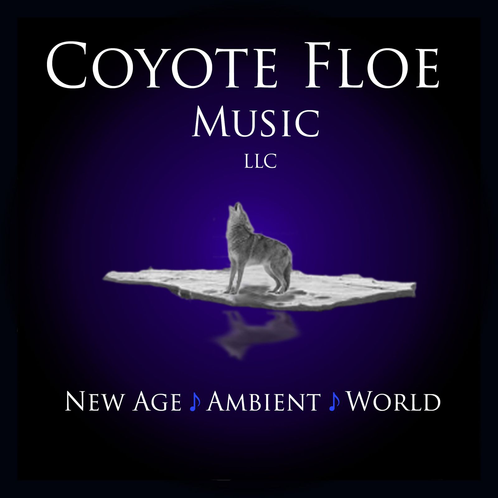 Timothy Wenzel Inspiring Instrumental Music - Bio