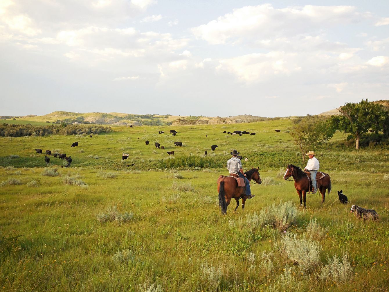Jessie Veeder - Blog