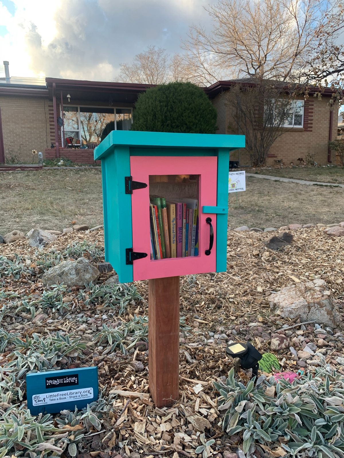 Hypnotic Turtle - DreamBox Library