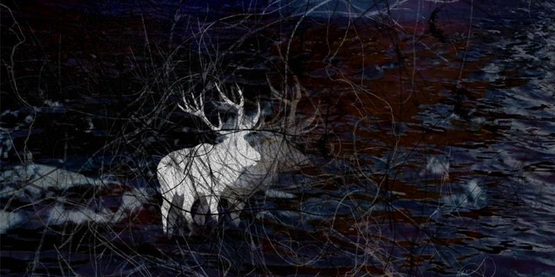 Fraser Fifield - musician and composer - from Scotland