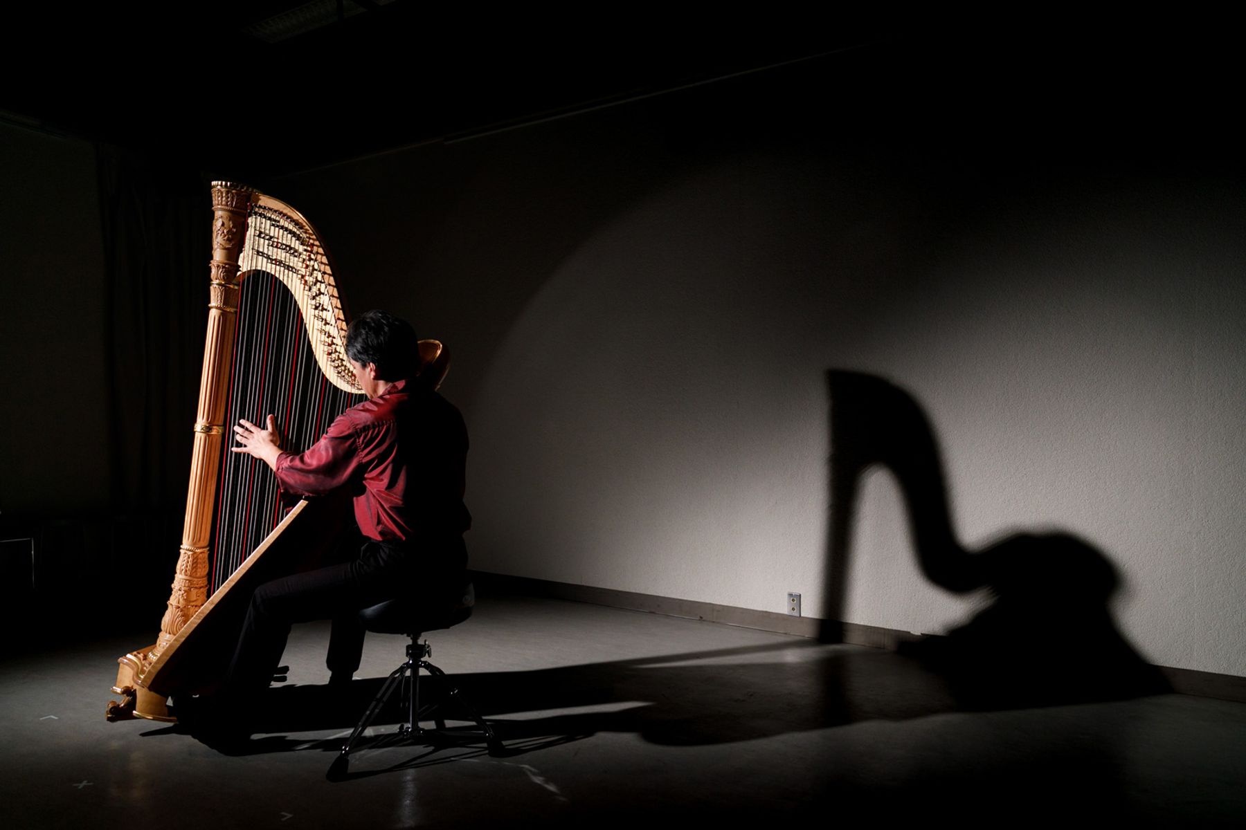 harpmusician.com