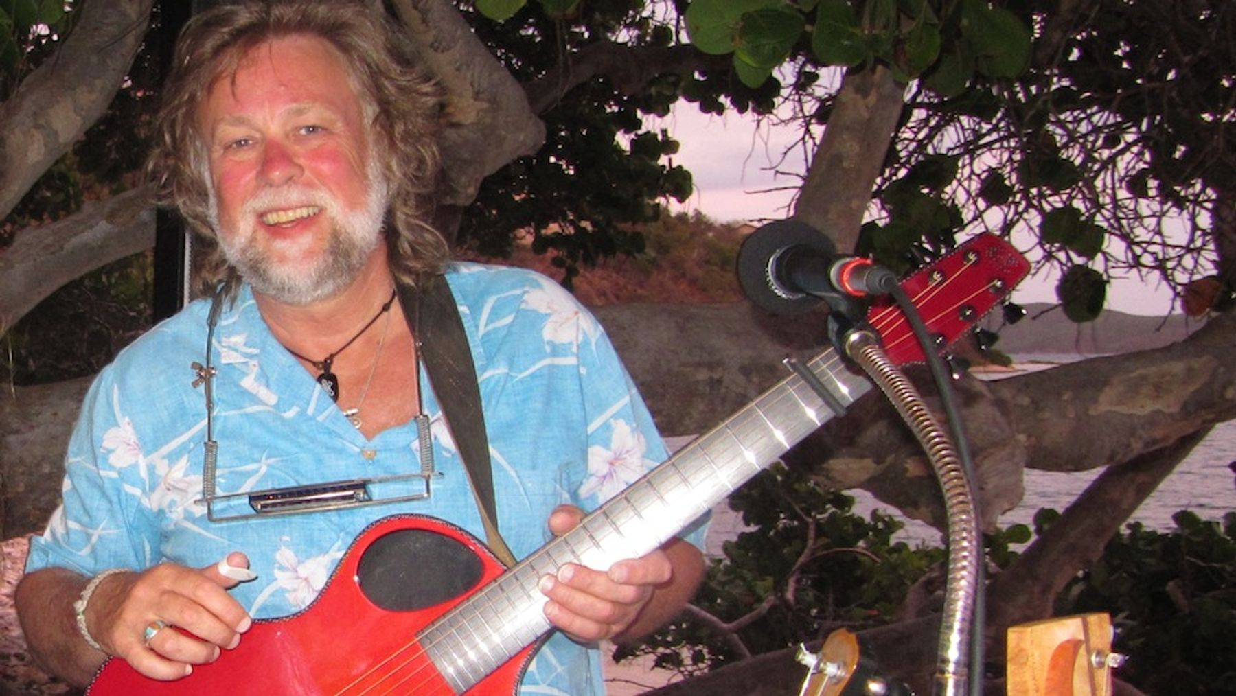 David Reed ~ "Americana Groove Music from the Caribbean to the Delta"