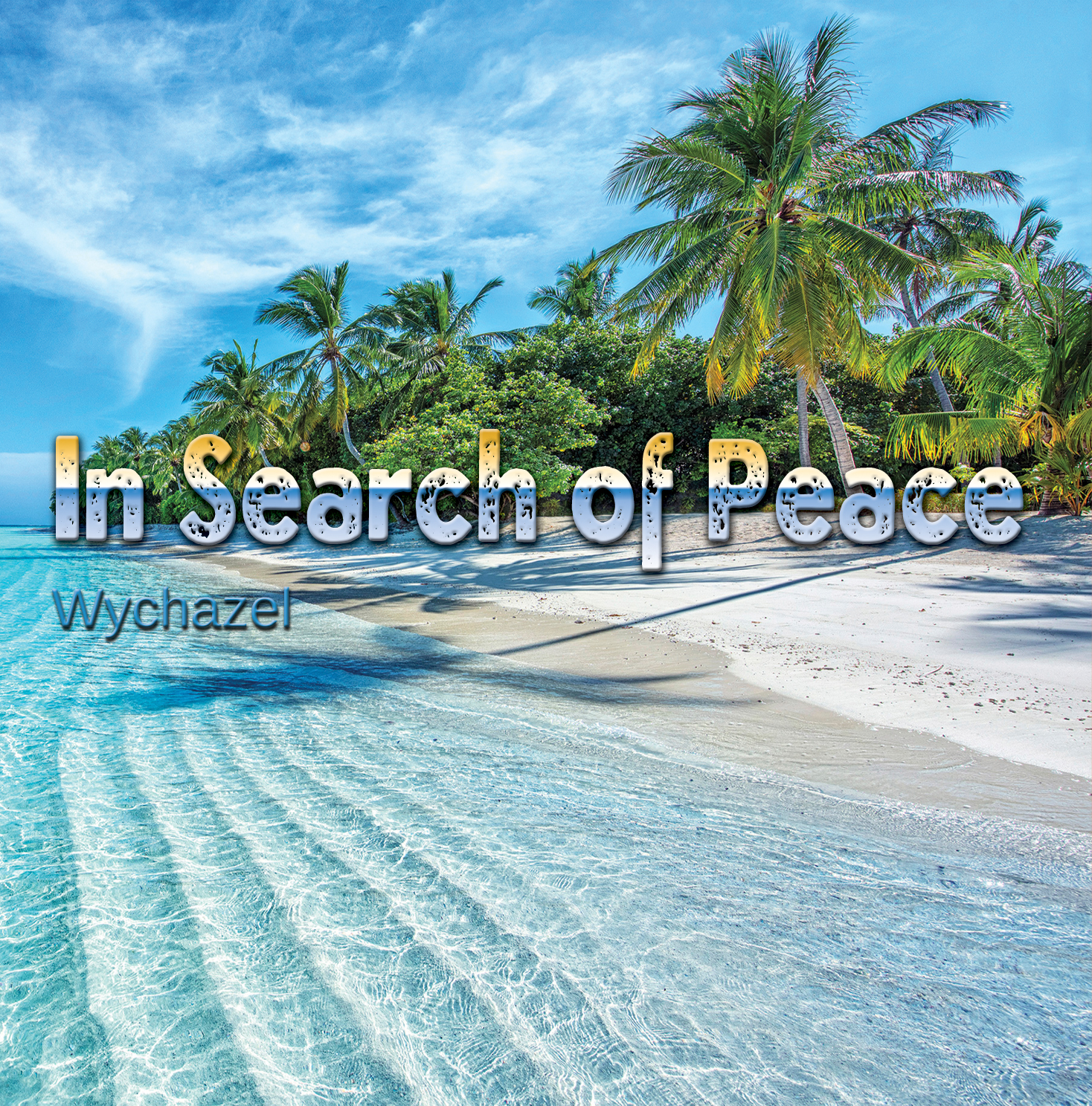 Introducing . . . In Search of Peace