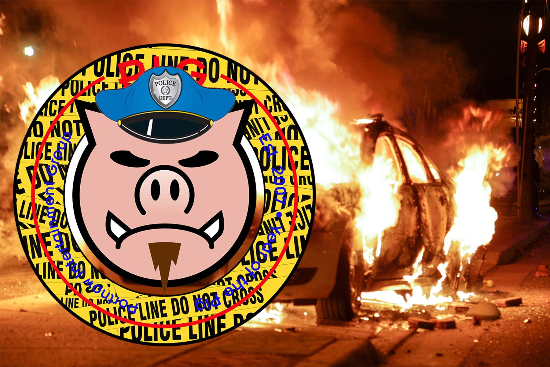 PIG Records