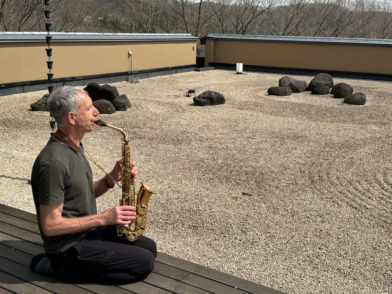 Snake Davis - おんがくの隠れ家