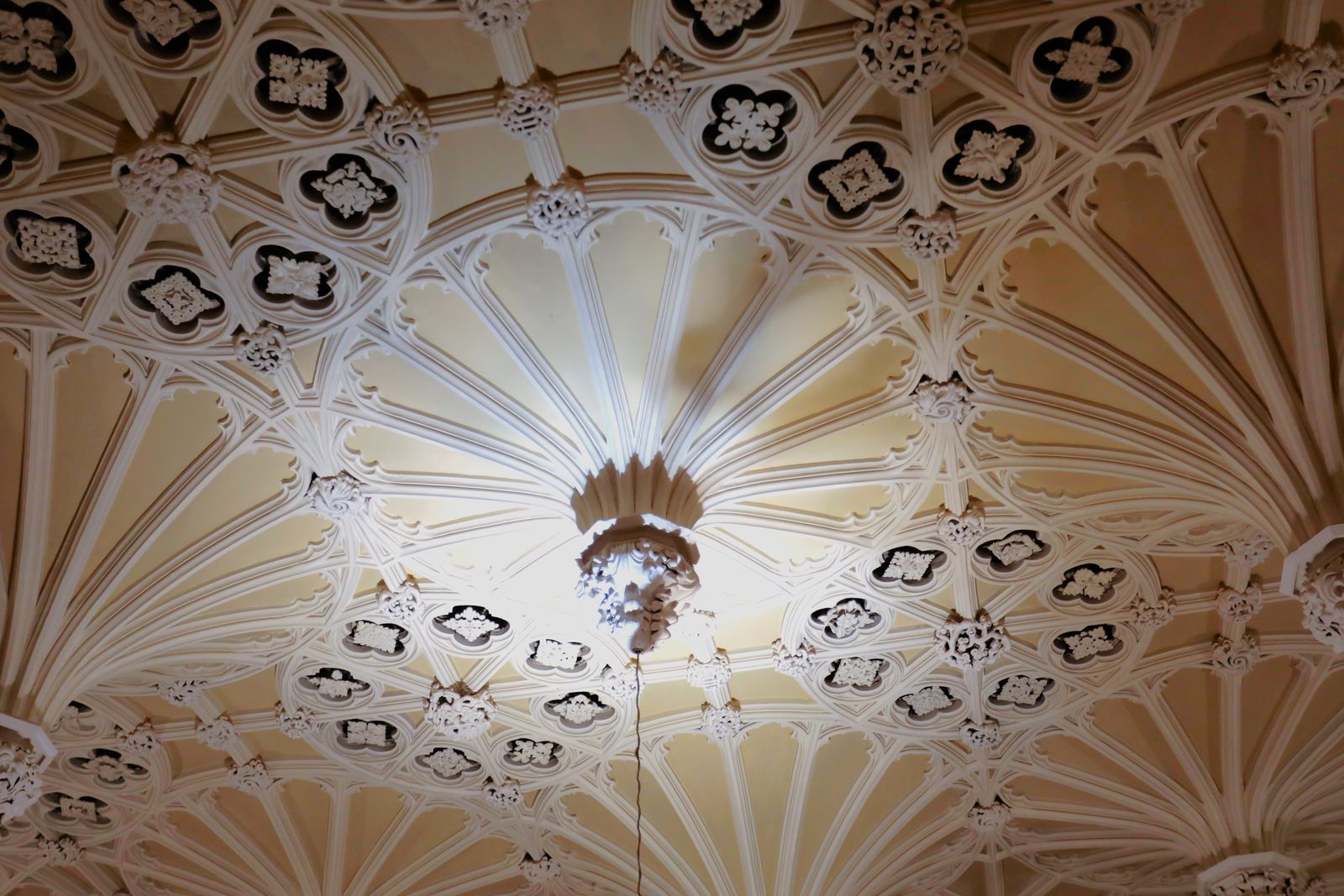 Cappella Caeciliana - St Malachy's - January 2023