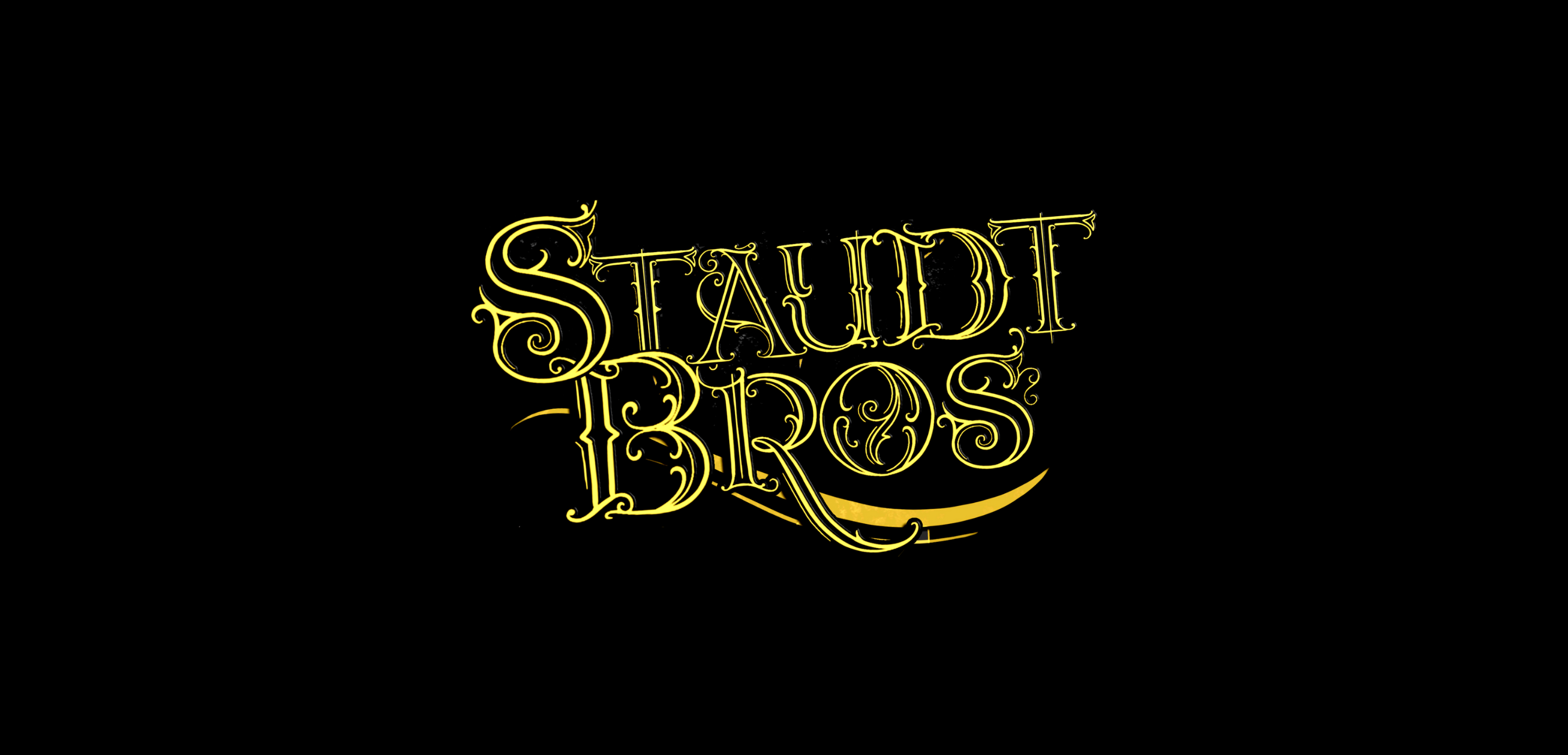 Staudt Brothers - About the Band