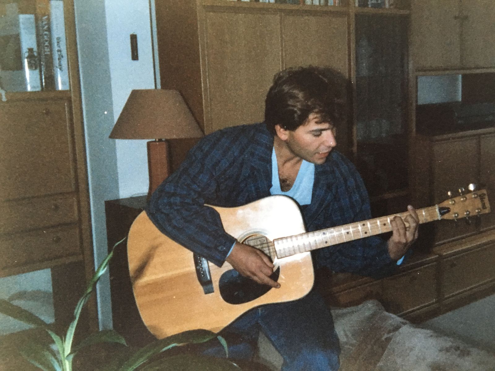 Frank Hermans Songwriter