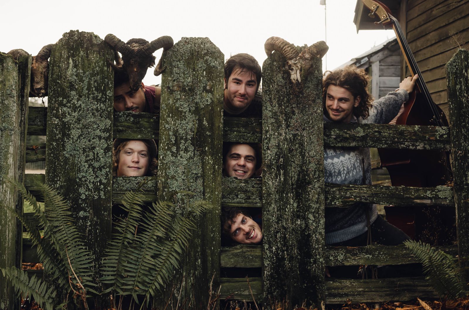 Sweater Weather String Band - Press Kit