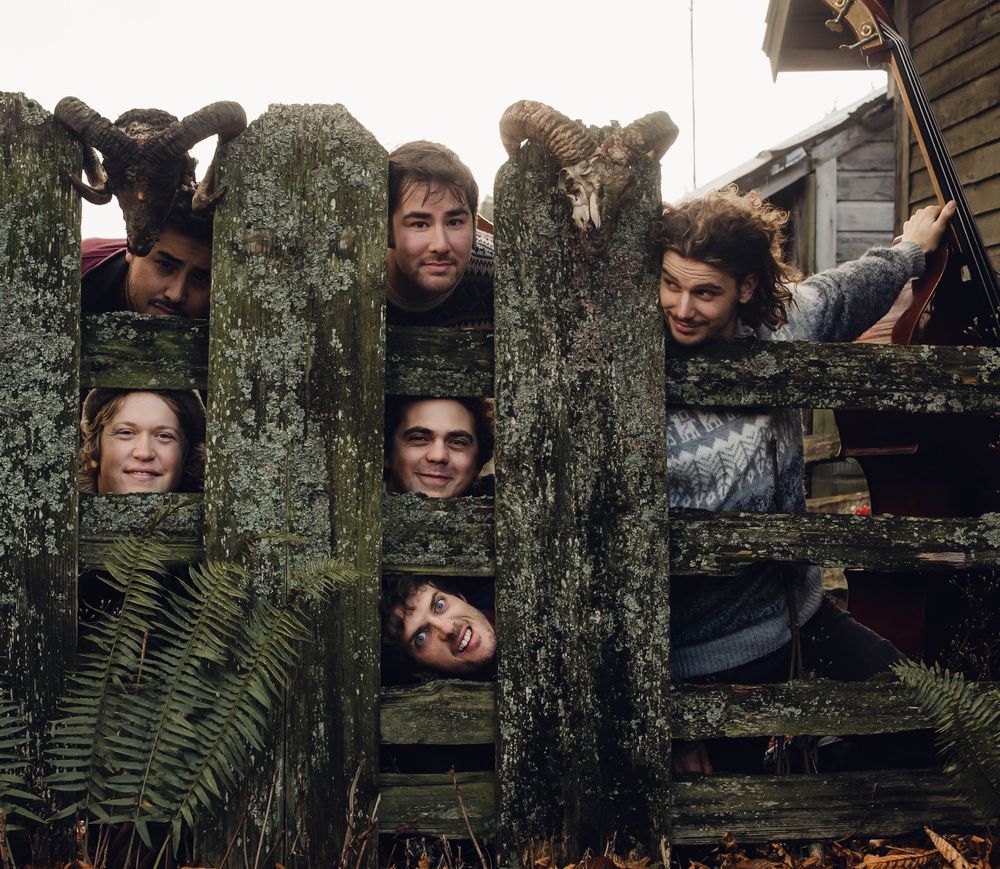 Sweater Weather String Band - Press Kit