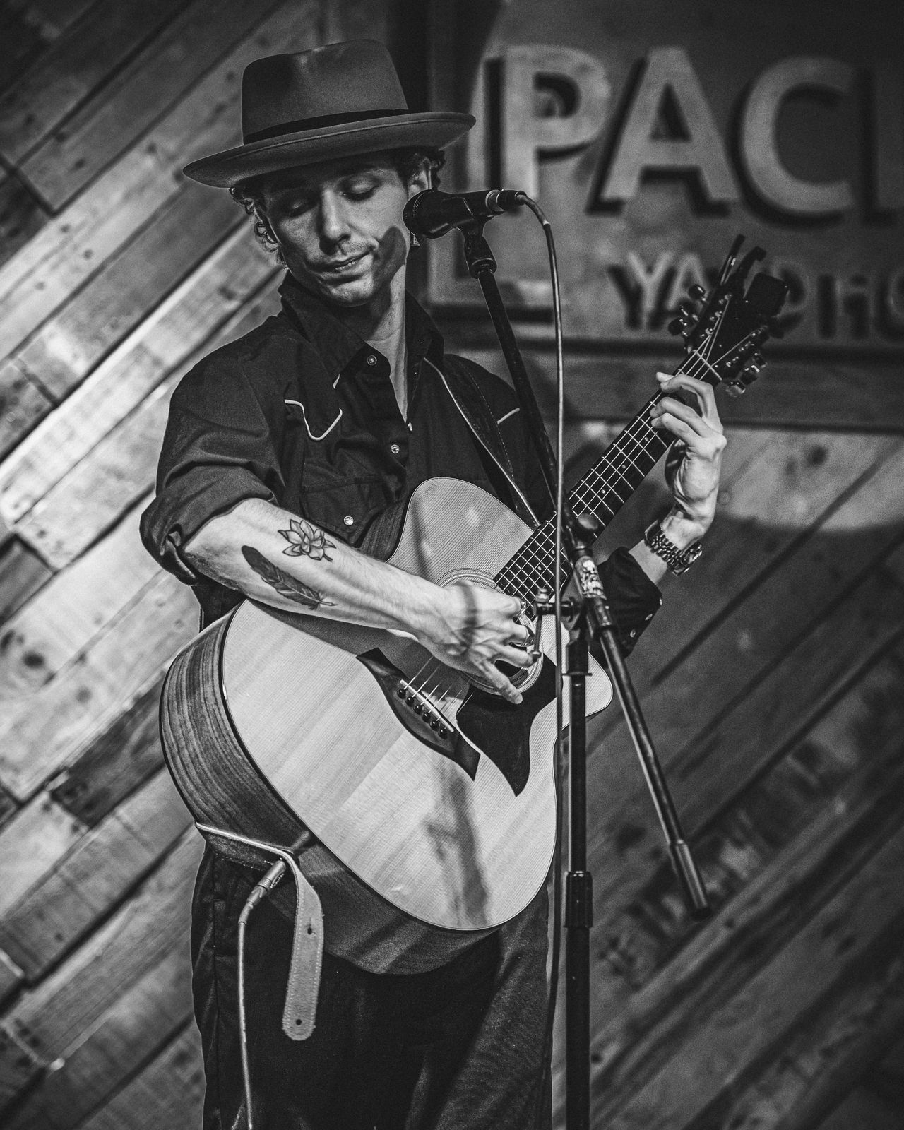 Winston Cook - Gallery