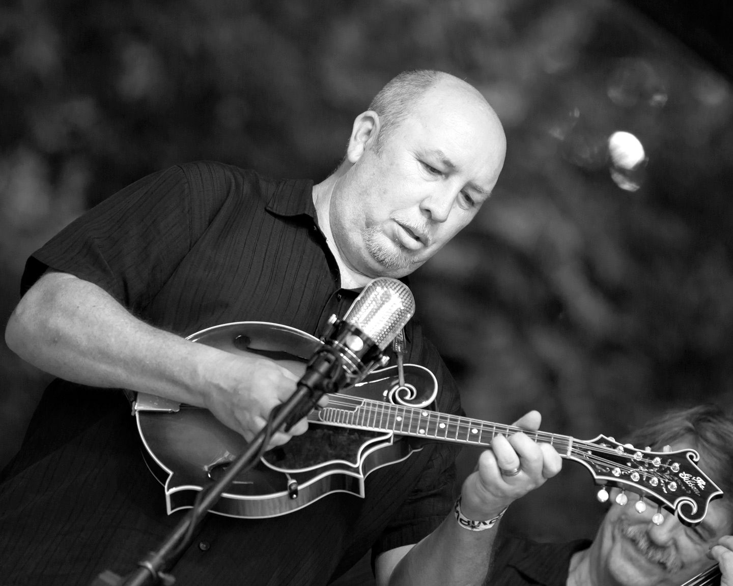 Fast Track Band - Photos