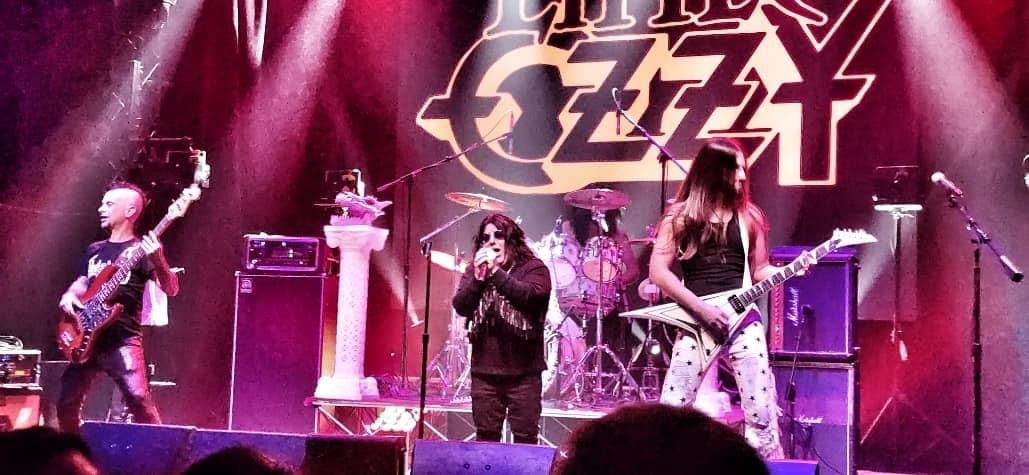 Little Ozzy - Photos