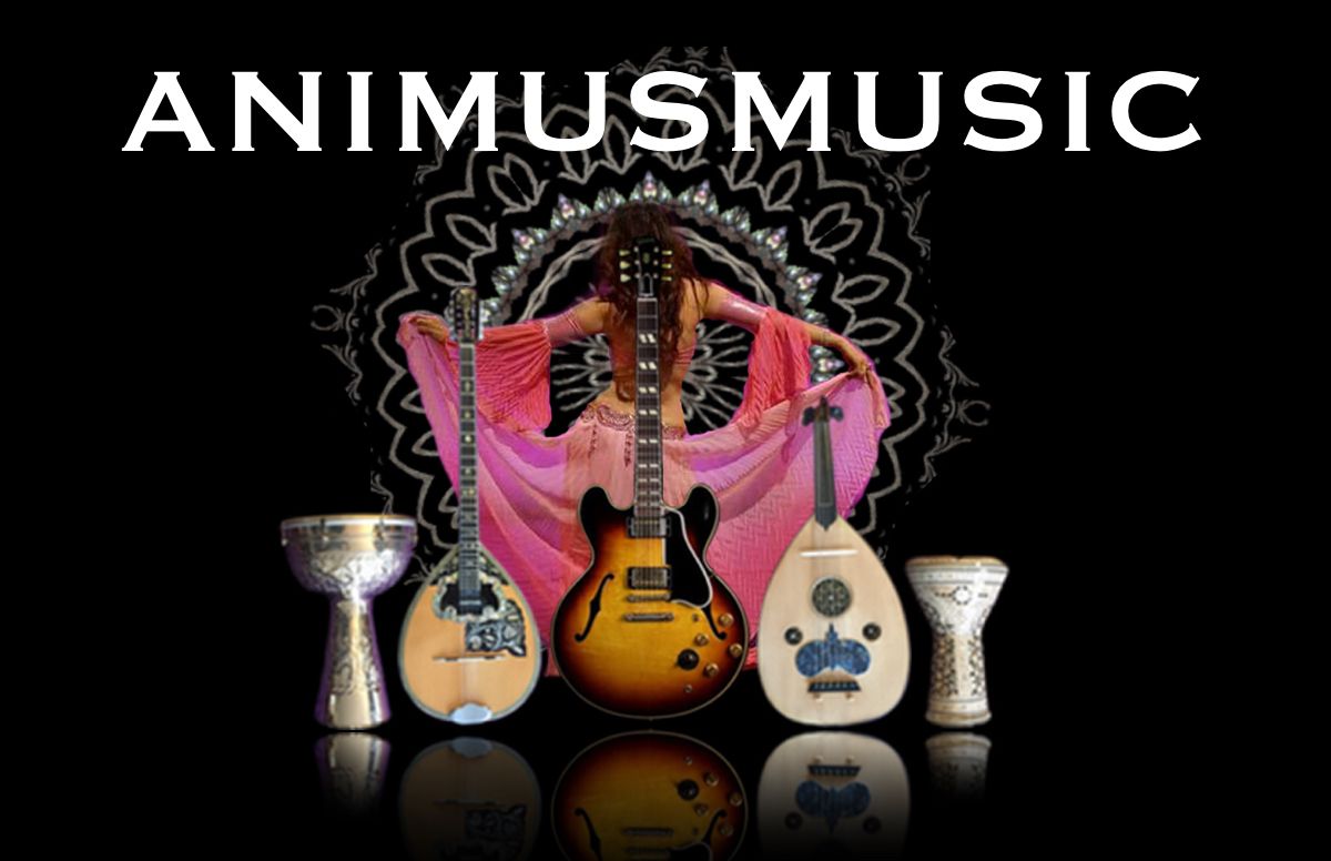 animusmusic.com
